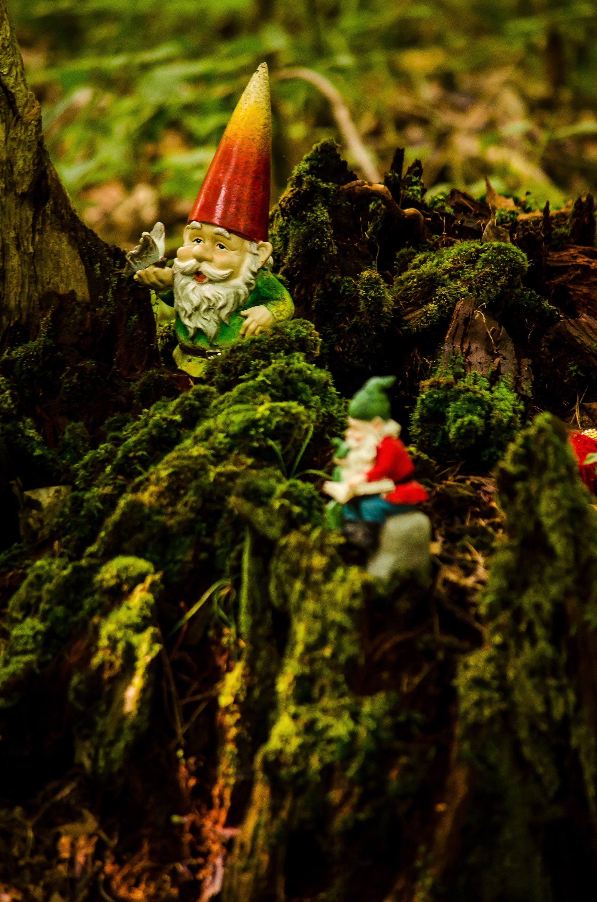 Gnome Man's Land Giclée Print MOUNTED | Etsy