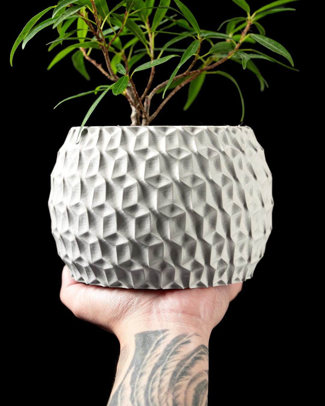 Hexa Succulent Planter Pot, Modern Geometric 3D Printed, Minimalist ...