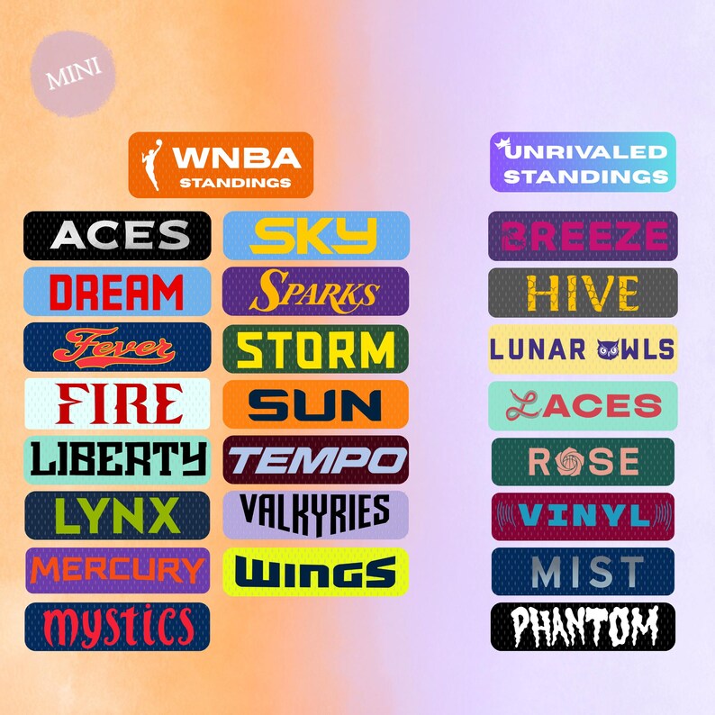 Mini WNBA & Unrivaled Bundle | Standing Kit - Etsy
