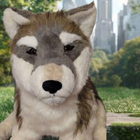 13" Fenrir Wolf Anthro Furry Original Line Plush Handmade Plushie MADE ...