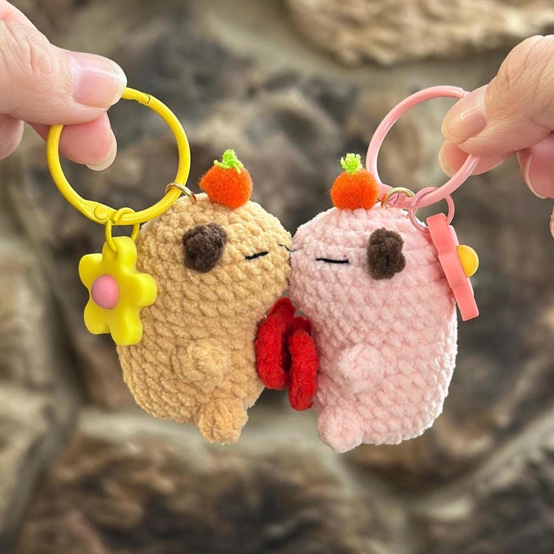 Capybara Magnetic Toys - Etsy