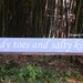 Sandy Toes and Salty Kisses Sign~ 5 Feet LONG ~CUSTOM Colors~beach Sign ...