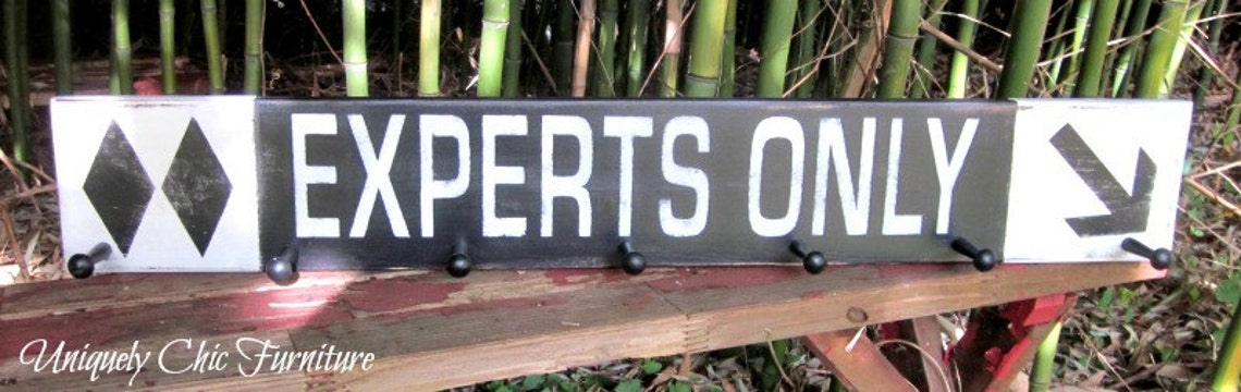 EXPERTS ONLY SIGN Goggle Helmet Ski Pole Coat Hanger | Etsy