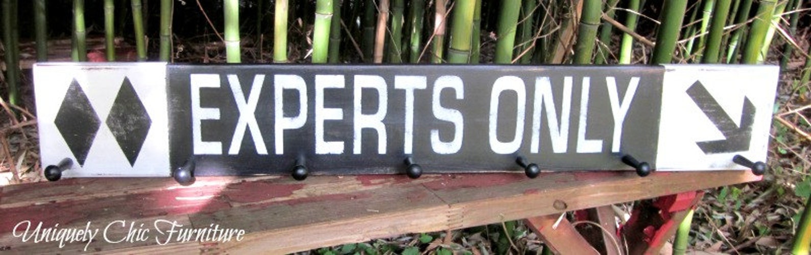EXPERTS ONLY SIGN Goggle Helmet Ski Pole Coat Hanger - Etsy