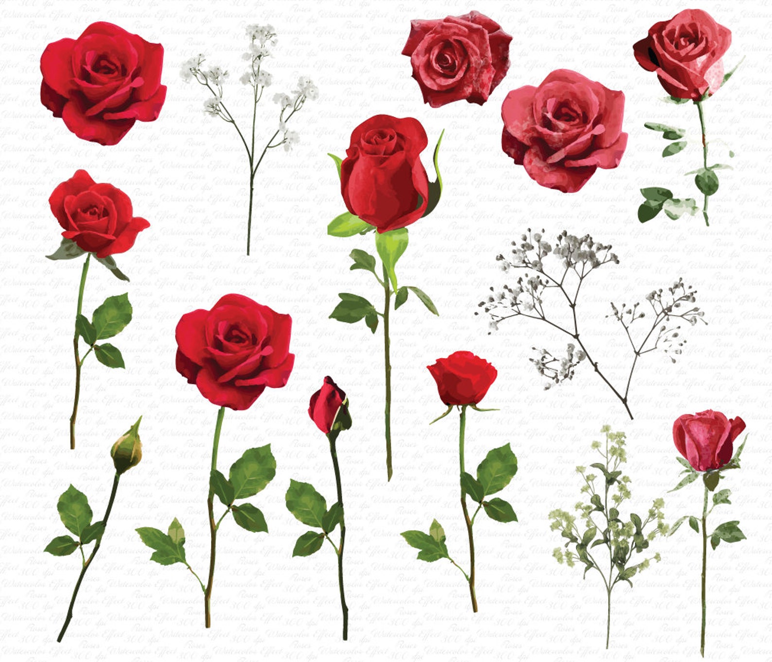 Watercolor Roses Clip Art High Resolution Graphic Digital | Etsy