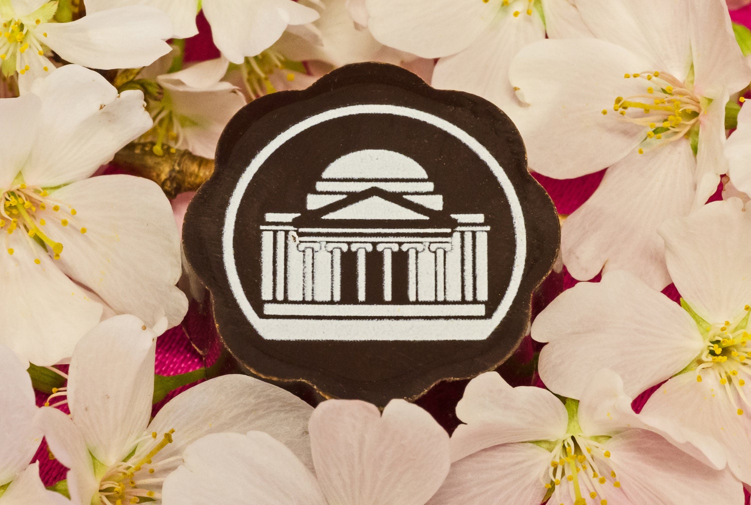 Washington DC Monument CHOCOLATES | DC Monument Cherry Blossom Festival ...
