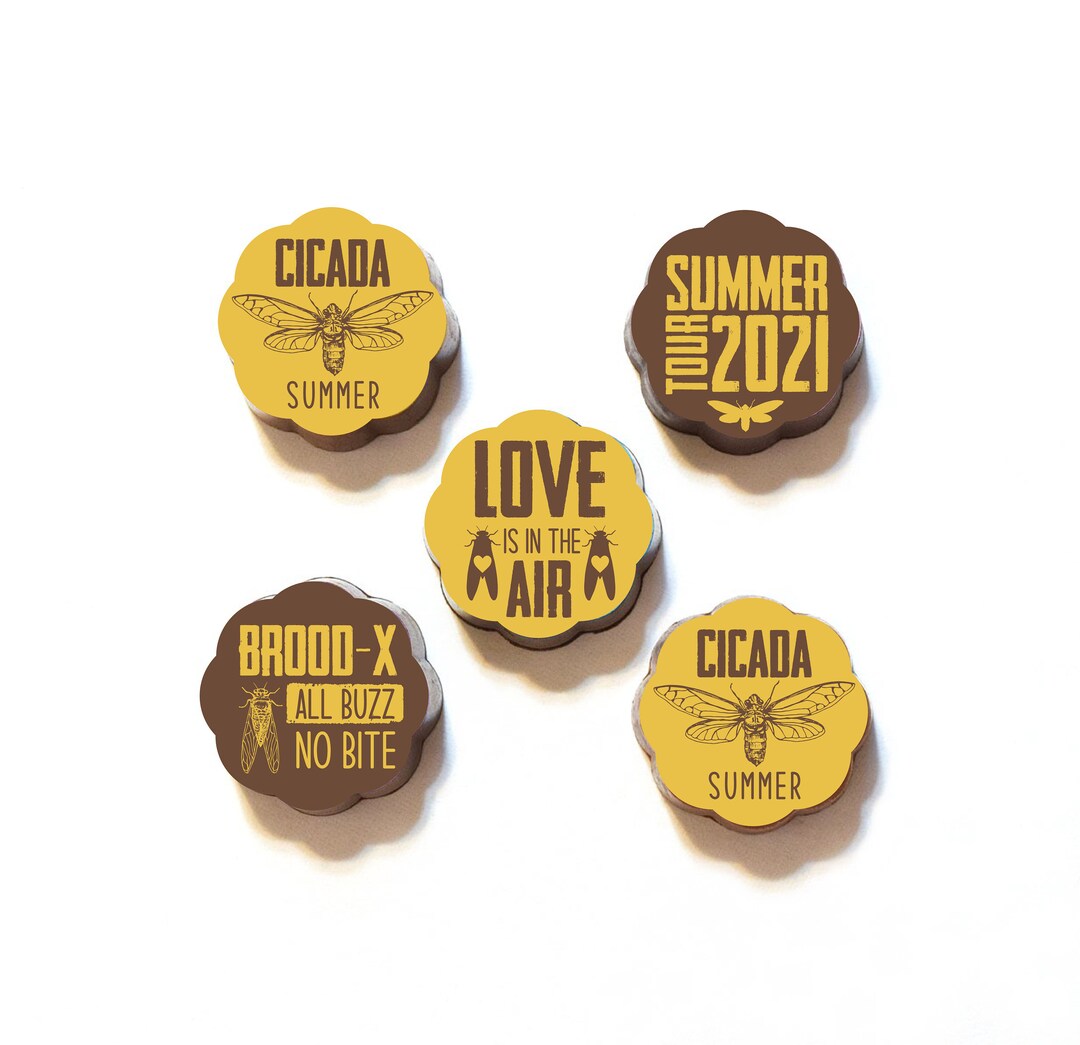 CICADA CHOCOLATES | Brood X 2021 Cicada Summer Bug Chocolate Covered ...