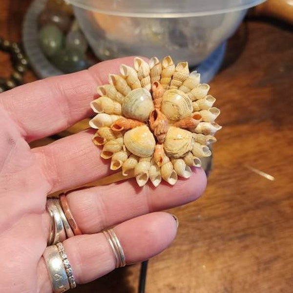 Shell Brooch - Etsy