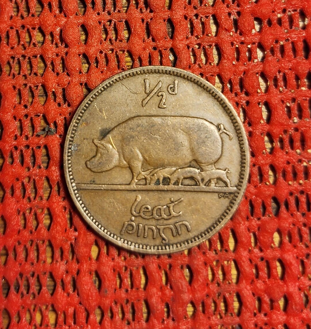 Ireland Pig With Piglets 1942 Coin - Etsy