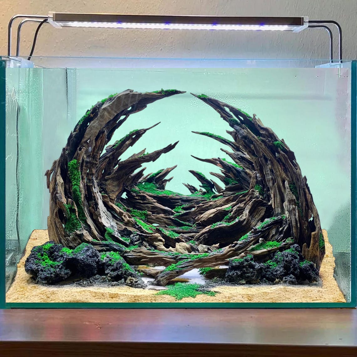 Aquarium Driftwood Arch on Rock – Natural Aquascape Hardscape ...