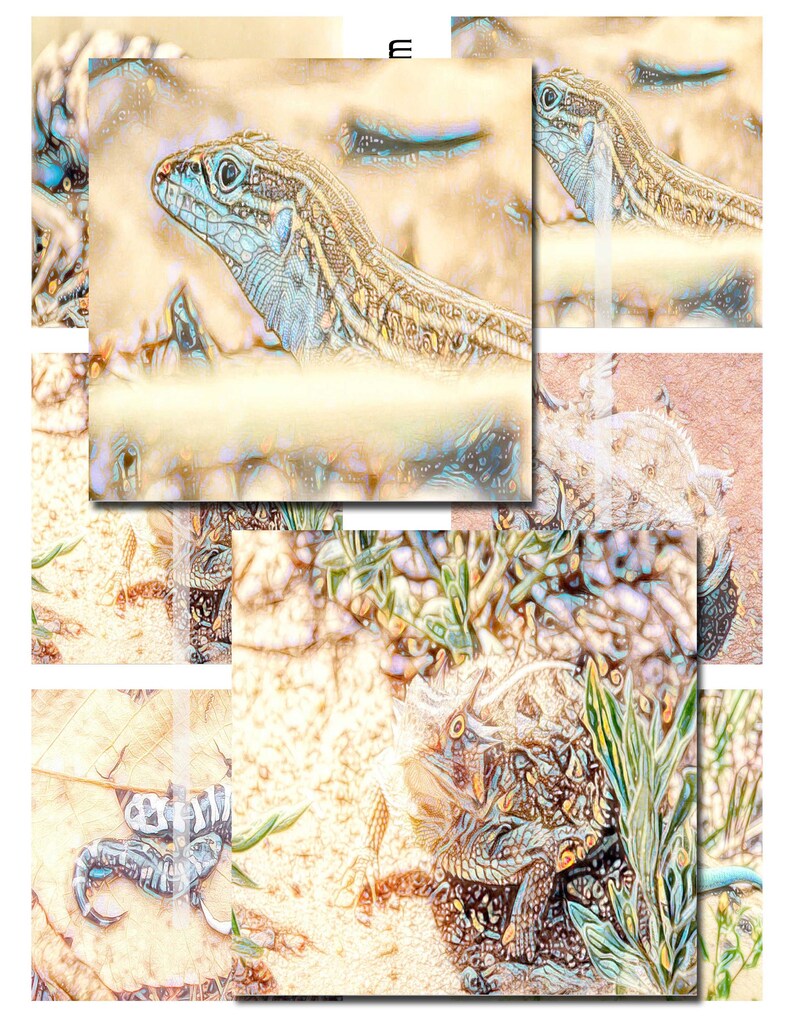 Abstract Lizards Snakes Art 4.0 Inch Coasters for Craft Projects ...