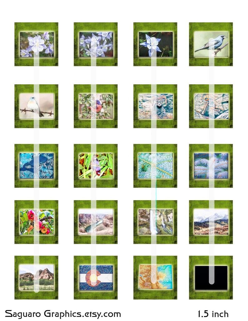 Colorado Map Art Collage Sheet: Printable State Symbols (digital ...