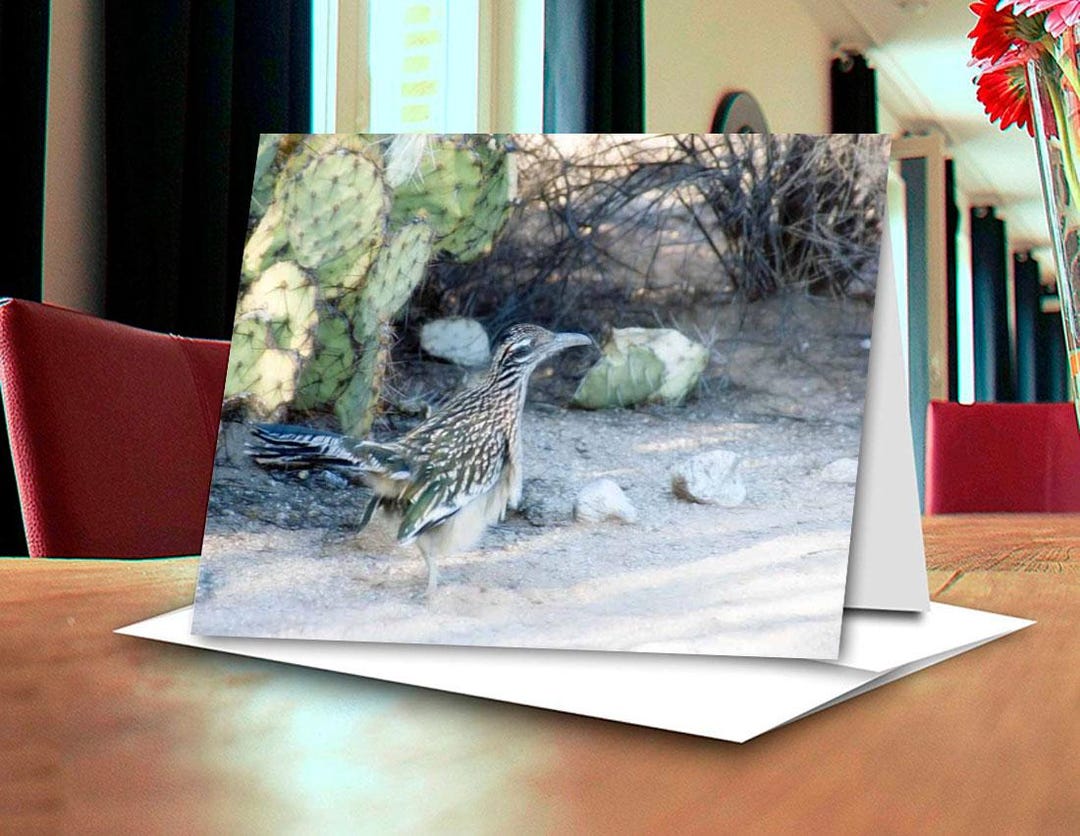 Desert Roadrunner Greeting Cards & Postcards (digital Download) - Etsy