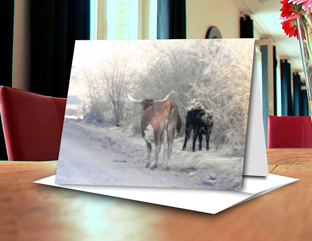 Strolling Cattle - Photo Art for Note Cards, Greeting Cards & Postcards ...