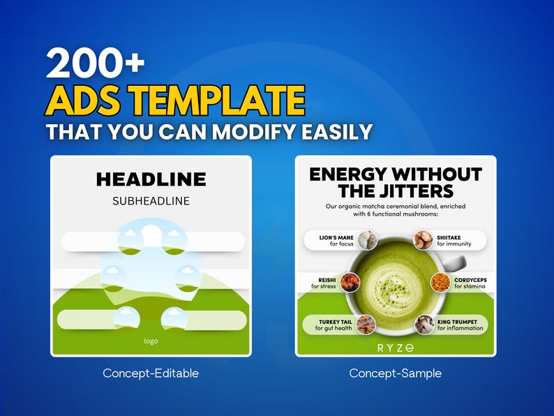 500+ Meta Ad Templates Canva Bundle: Facebook, Instagram, Email (PLR ...