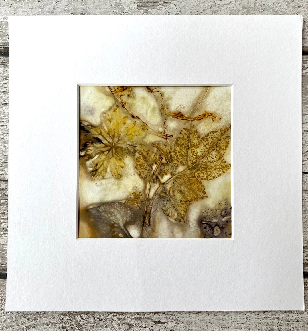 Eco Print Art Leaf Picture, Eco Prints, Botanical Prints, Nature Monoprint, Leaf Picture, Unique ...