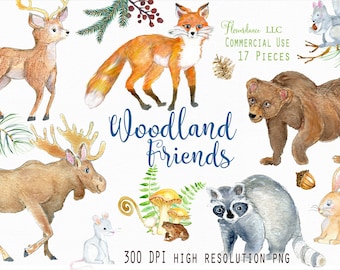 Woodland Nursery Animals Clipart Fox Bear Squirrel Owl - Etsy