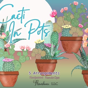 Cactus Watercolor Clipart, Cactus PNG, Succulents, Terra Cotta Pots ...