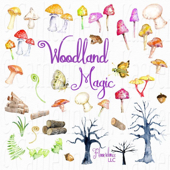 Watercolor Mushroom Clipart Toadstools Toad Ferns Trees | Etsy