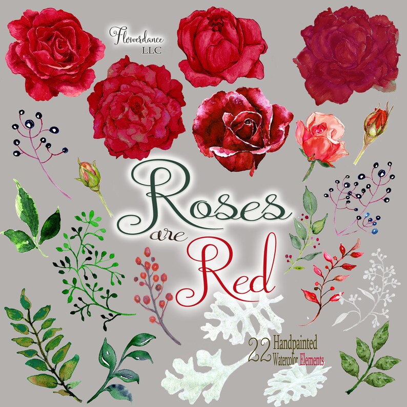 Red Rose Watercolor Clipart Crimson Scarlet Emerald Leaves - Etsy