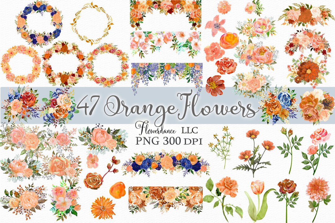 47 Orange Flowers PNG, Watercolor Floral Clipart Bundle Includes ...