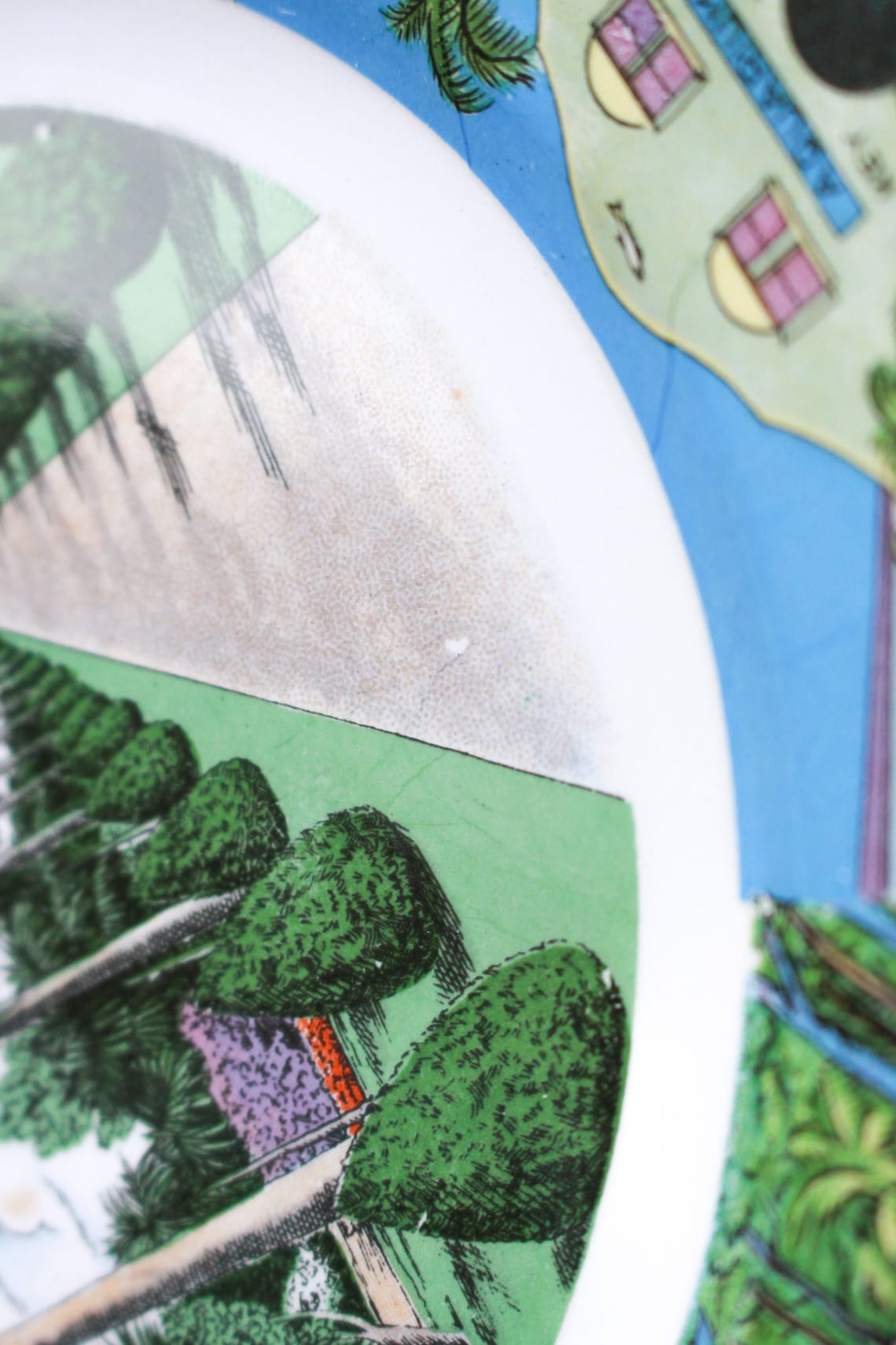 Vintage Florida Plate Vintage Miami Plate Florida Souvenir - Etsy