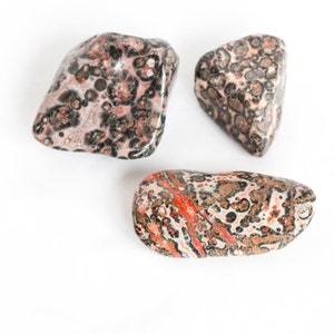 Leopardskin Jasper Tumbled Stones Leopard Jasper Tumbled - Etsy