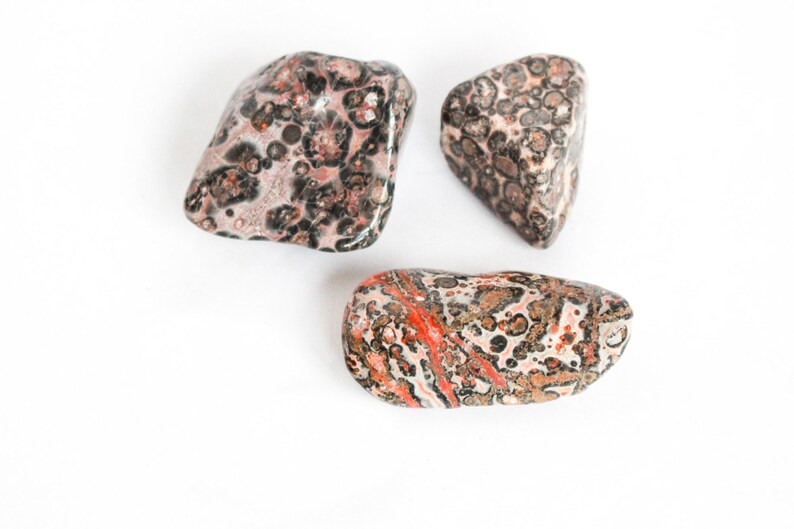 Leopardskin Jasper Tumbled Stones Leopard Jasper Tumbled - Etsy