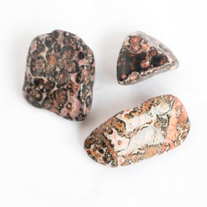 Leopardskin Jasper Tumbled Stones Leopard Jasper Tumbled - Etsy