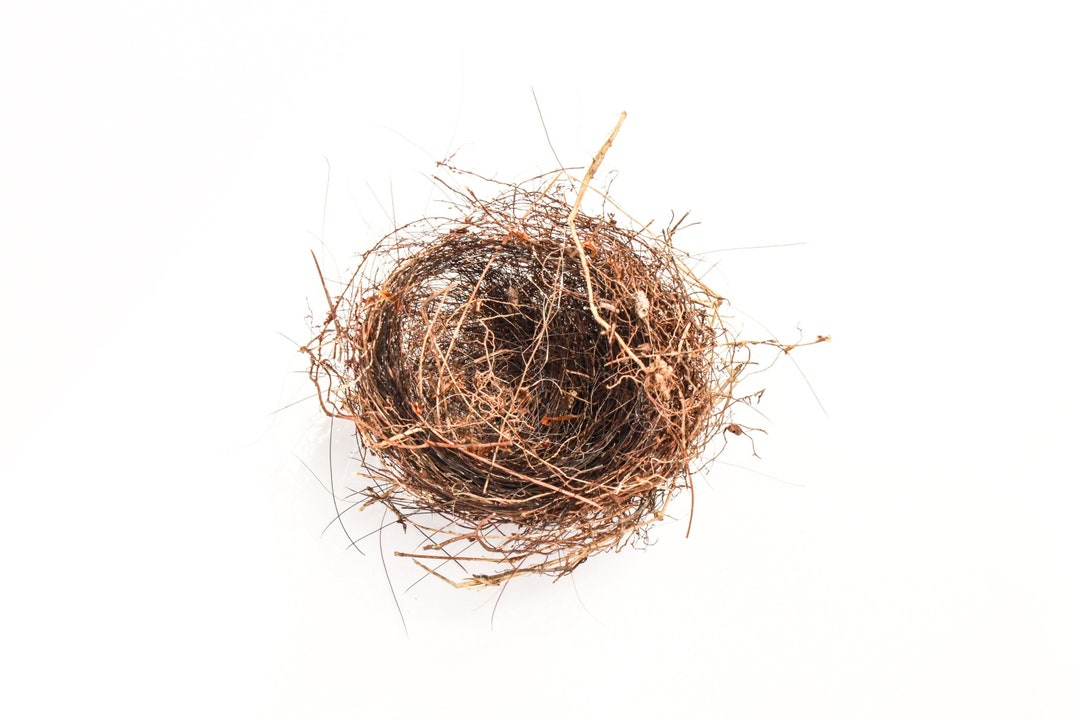 REAL Nest Made From Water Buffalo Hair, Real Bird's Nest, Bird Nest ...