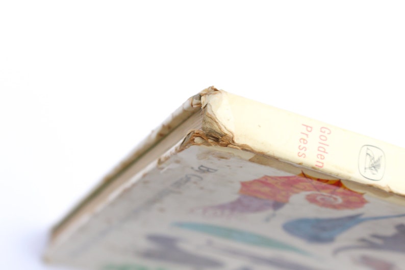 Giant Golden Book of Biology Illustrated by Charles Harper - Etsy