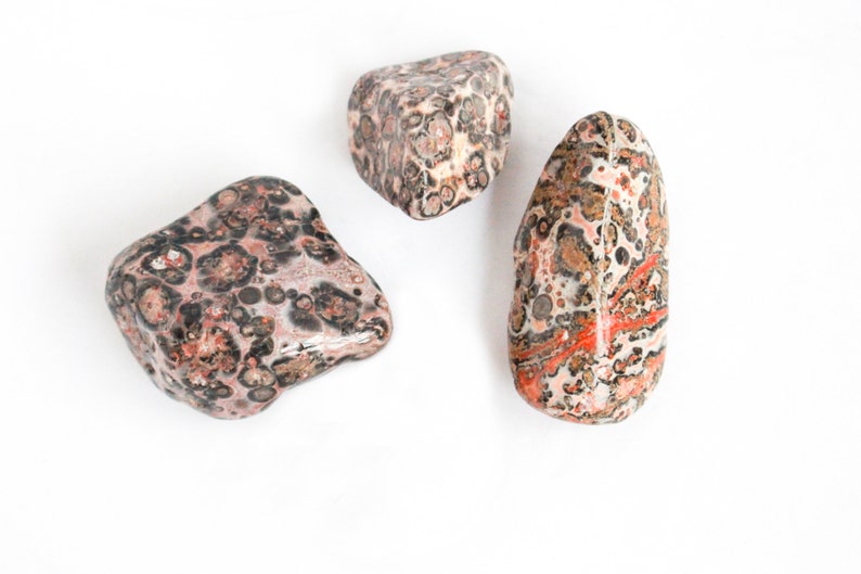 Leopardskin Jasper Tumbled Stones Leopard Jasper Tumbled - Etsy