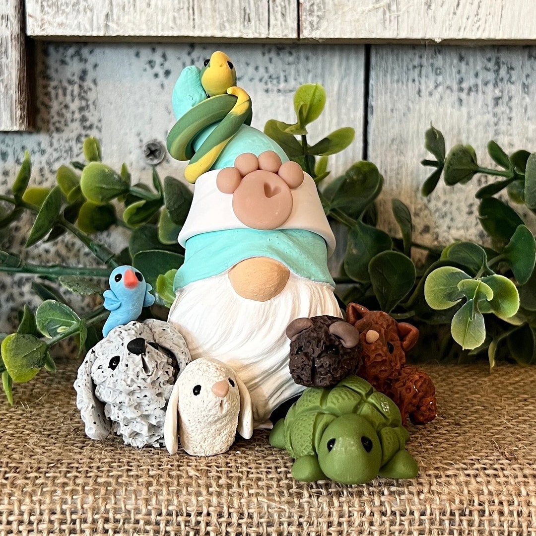 Veterinarian Gnome/vet Gnome/animal Gnome/ Pet Gnome/animal - Etsy