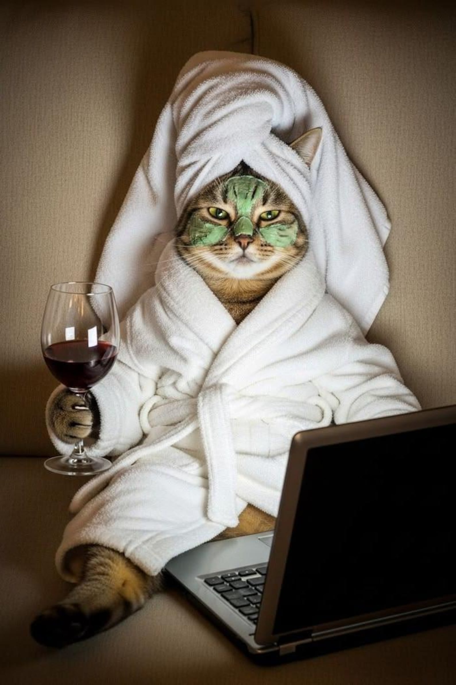How to Create Viral AI Cat Videos (step-by-step Guide for Beginners) - Etsy
