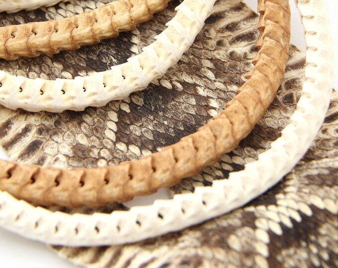 Serpentine: Real White Snake Vertebrae Bead Necklace, Approx. 11x10mm ...