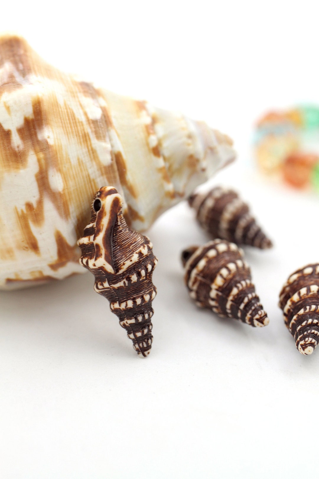 Brown Cerith Seashell: German Resin Charm, 32mm, Focal Bead, 1 Pendant ...