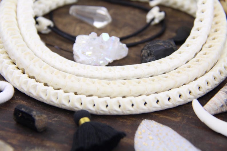 Serpentine: Real White Snake Vertebrae Beads Approx. 11x10mm | Etsy