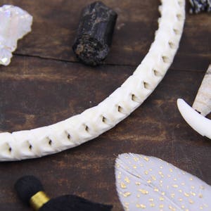 Serpentine: Real White Snake Vertebrae Bead Necklace Approx. | Etsy
