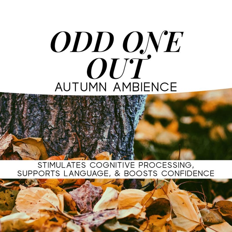 One Outs Seasons - Etsy