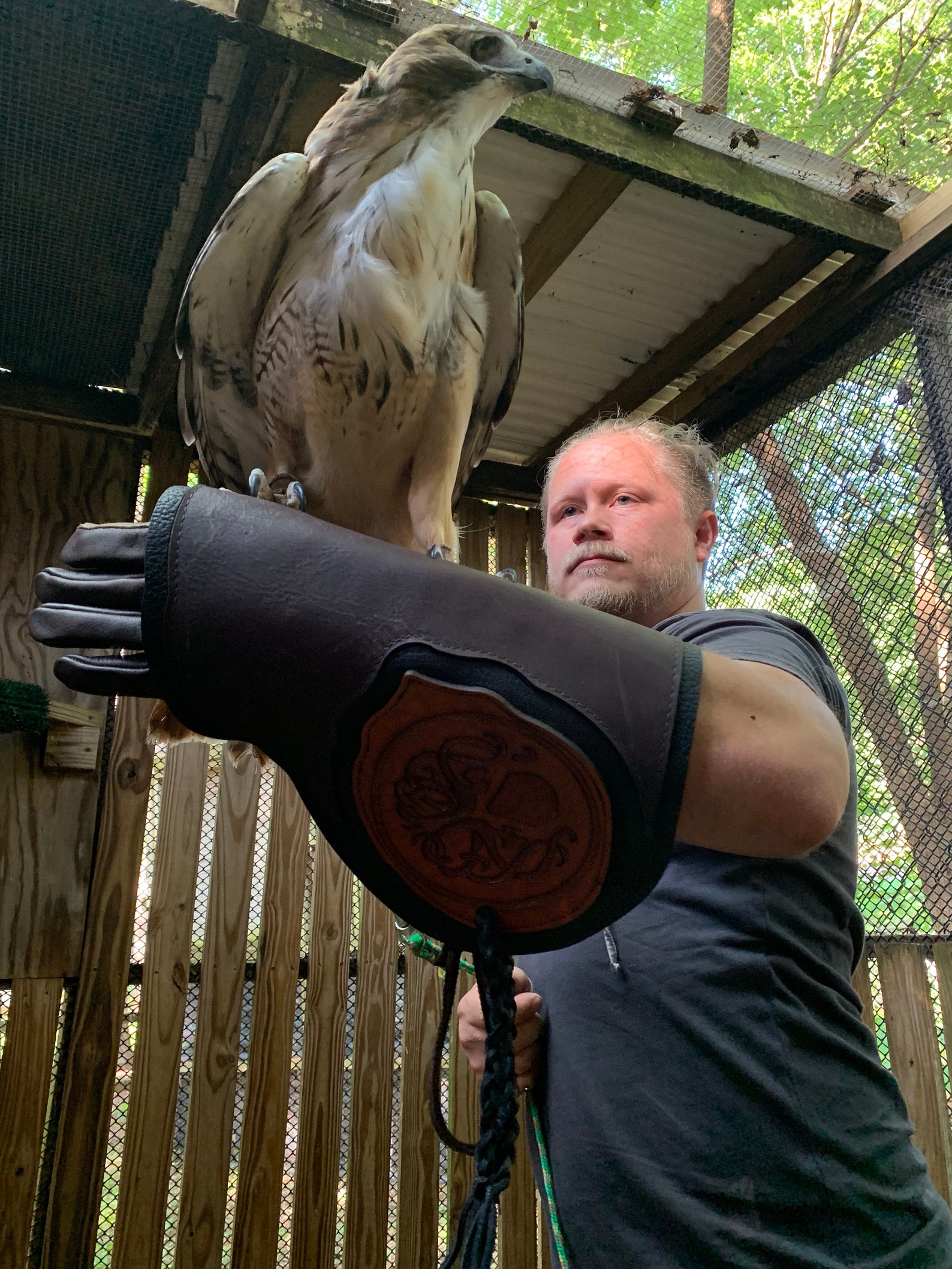 Celtic Falconers Gauntlet With Replaceable Glove - Etsy