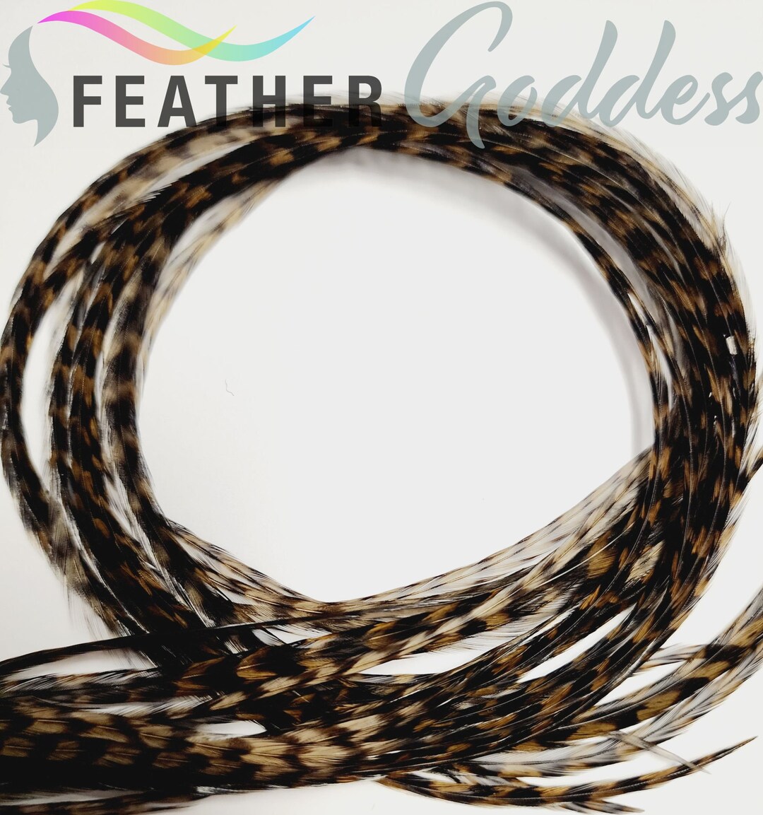 6 Grizzly Dark Brassy Dun, XXXL Premium Feather Hair Extensions With 3 ...