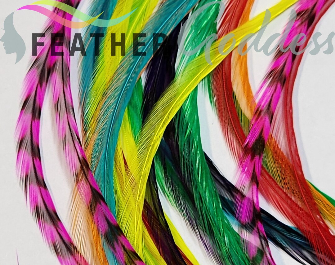 7 Summer's Rainbow, XXL Premium Feather Hair Extensions With 3 Free ...