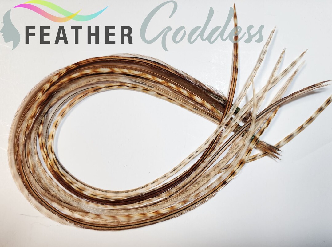 Barred Ginger Variant XXL Feather Hair Extensions With 3 Free Crimp ...