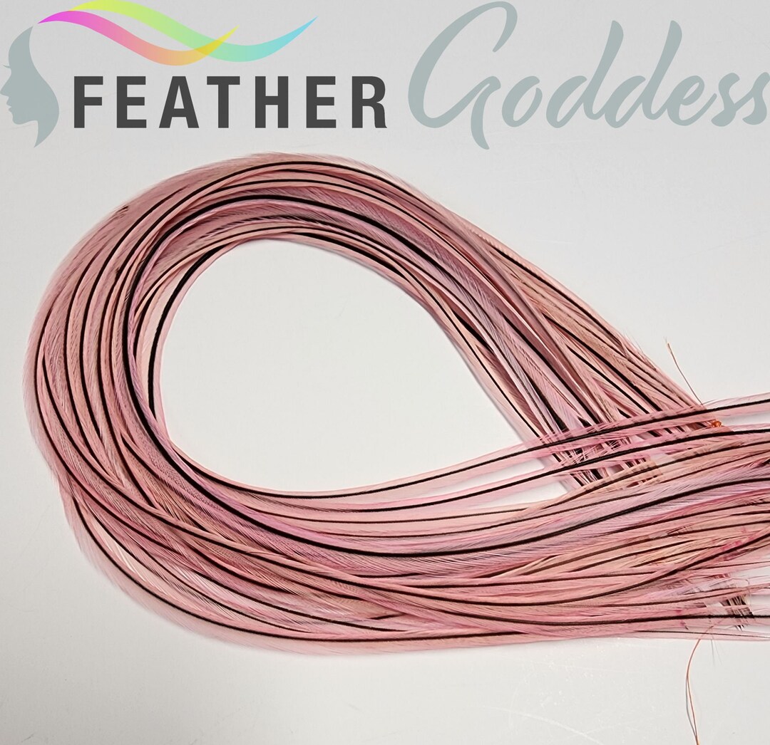 6 Seashell Pink Feather Hair Extensions With 3 Free Crimp Beads - Etsy