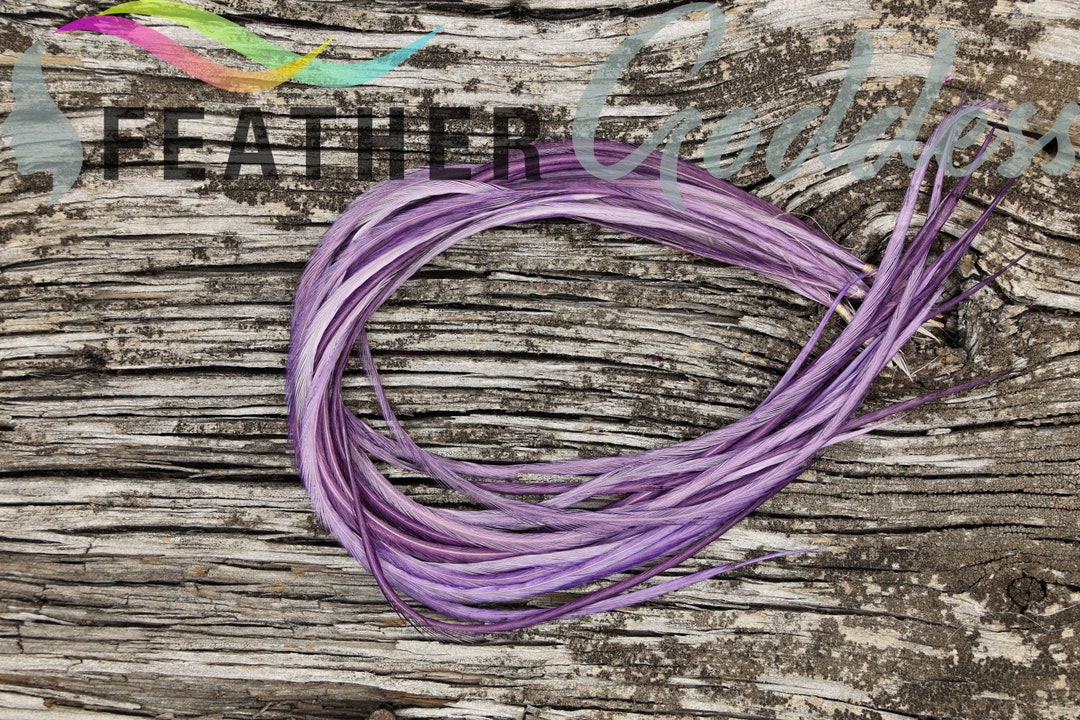 6 Lavender XXXL Premium Feather Hair Extensions With 3 Free Crimp Beads ...