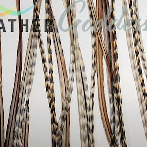 6 Tiger Stripe/cree RARE XXXL Premium Feather Hair Extensions With 3 ...