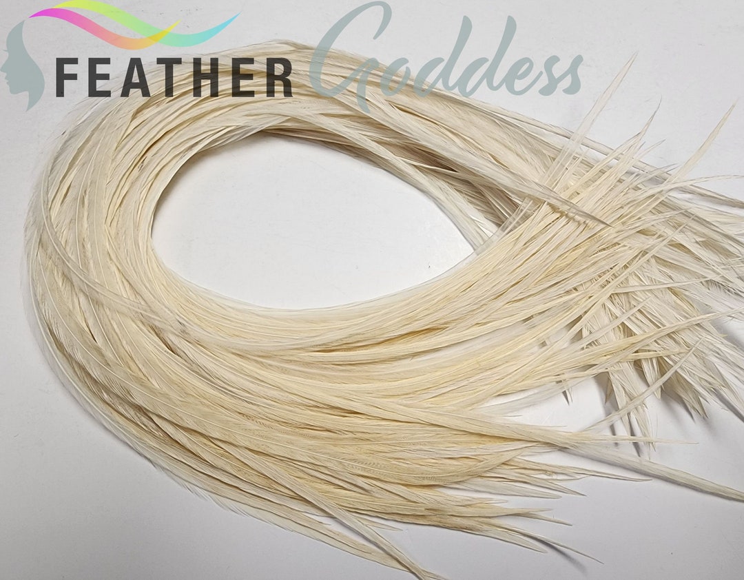 White Rooster Feather Hair Extensions, Premium Quality (6 Pc, Crimp ...