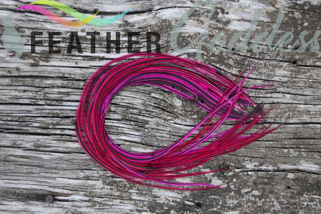 Magenta Pin Stripe XXXL Feather Hair Extensions With 3 FREE Crimp Beads ...