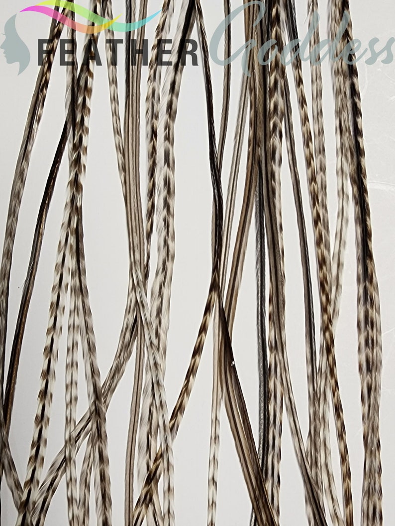 6 Coffee and Cream, XXXL Premium Feather Hair Extensions With 3 Free ...