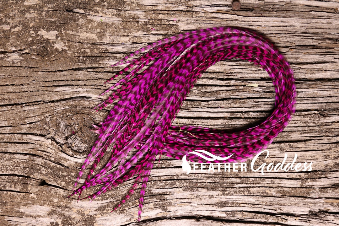 Magenta Grizzly Hair Feather Extensions - Premium Rooster Feathers ...
